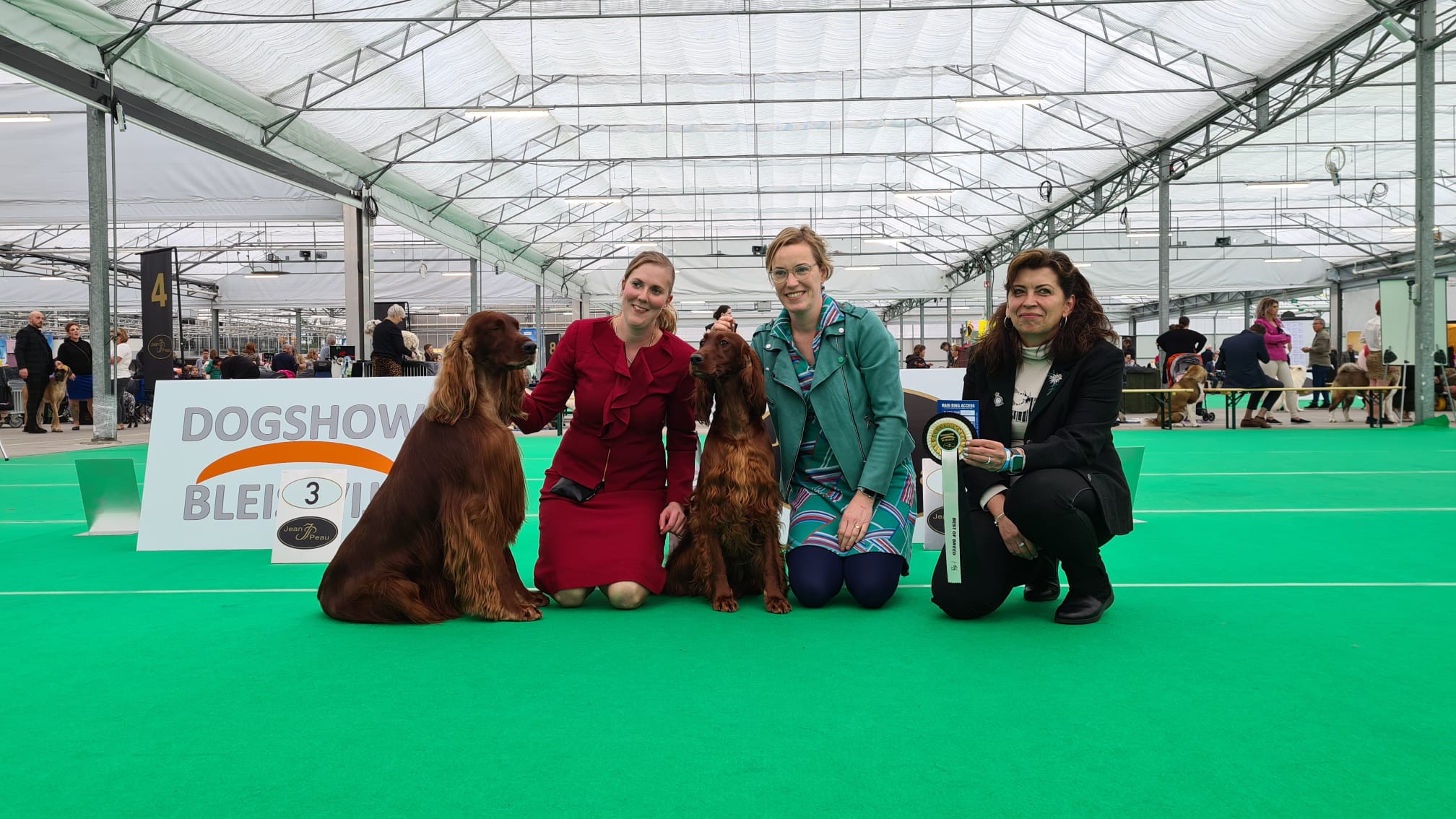 Uitslagen Dogshow Bleiswijk 07-11 – Ierse Setter Vereniging